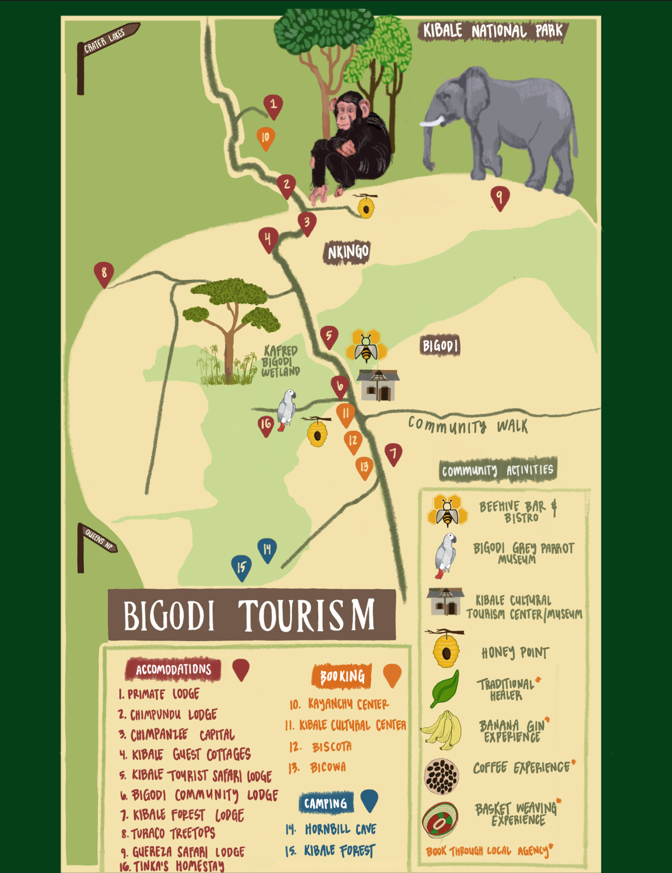 GREY PARROT MUSEUM UGANDA