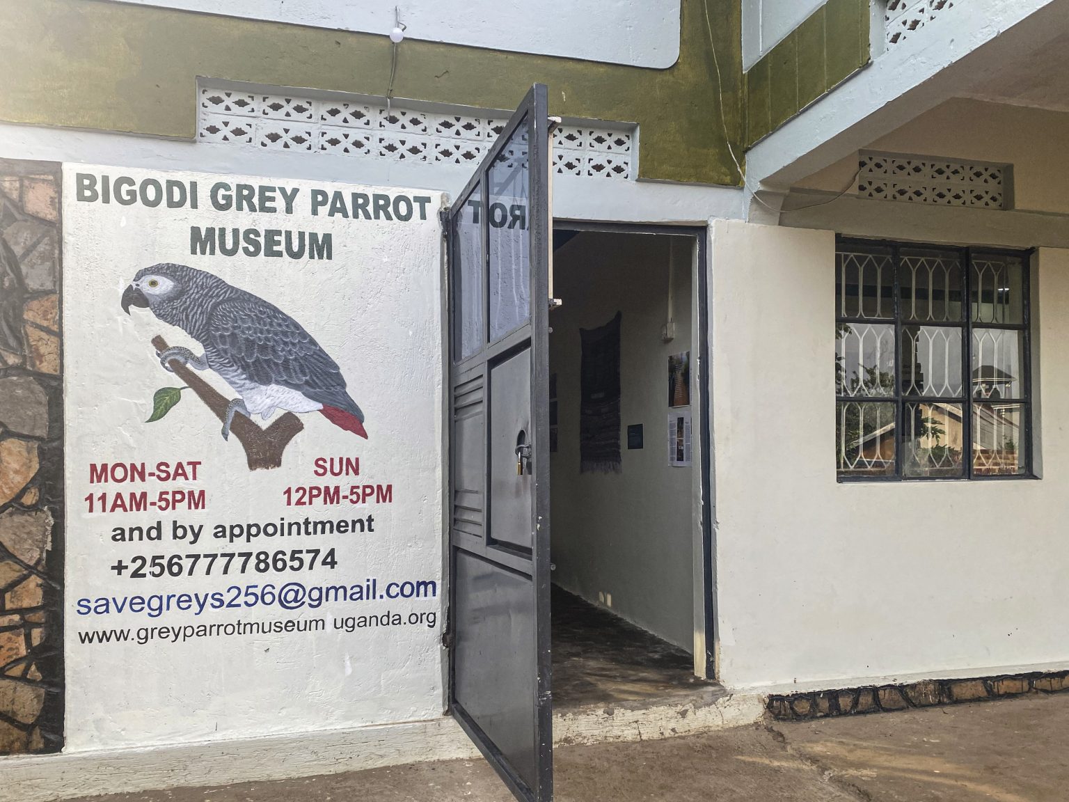 GREY PARROT MUSEUM UGANDA